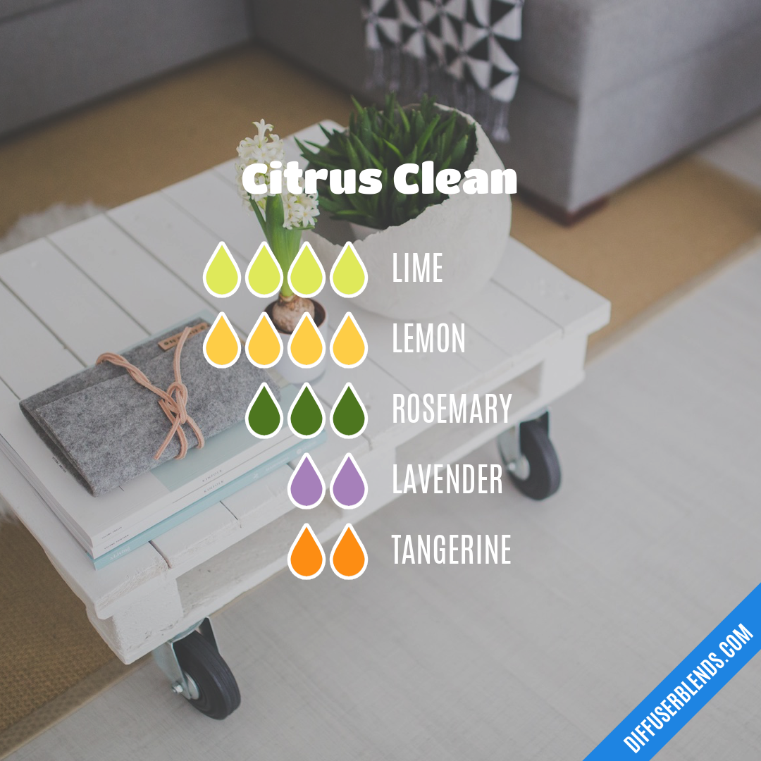 Citrus Clean | DiffuserBlends.com
