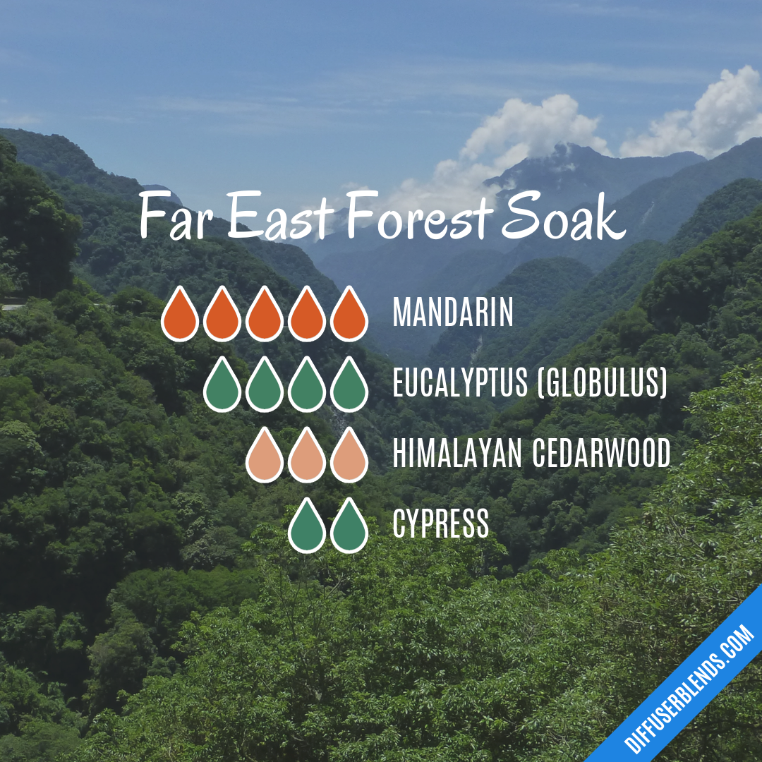 Far East Forest Soak | DiffuserBlends.com