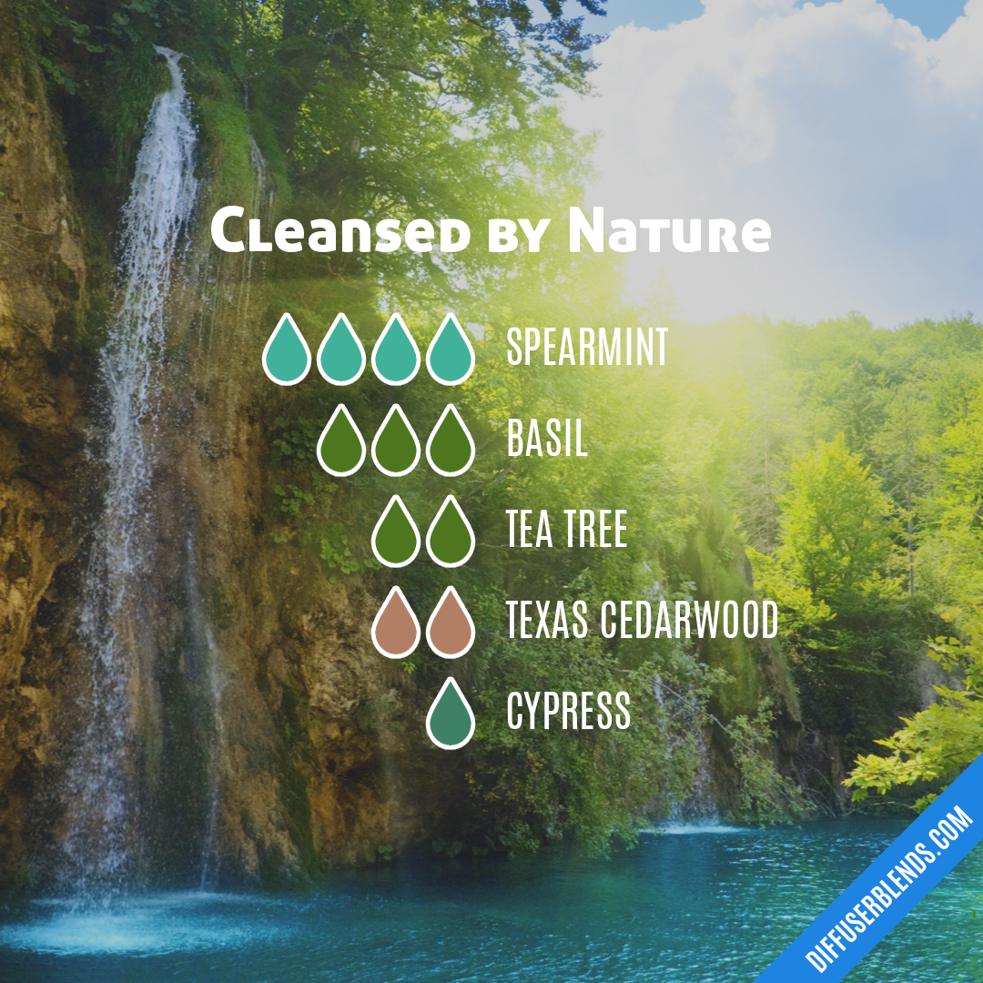 Cleansed by Nature | DiffuserBlends.com