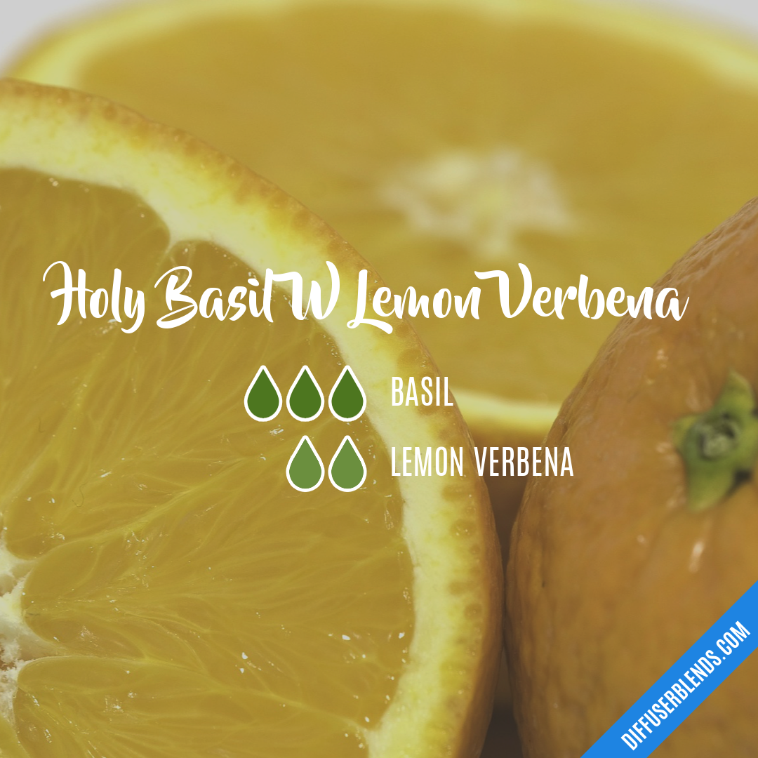 Holy Basil W Lemon Verbena | DiffuserBlends.com