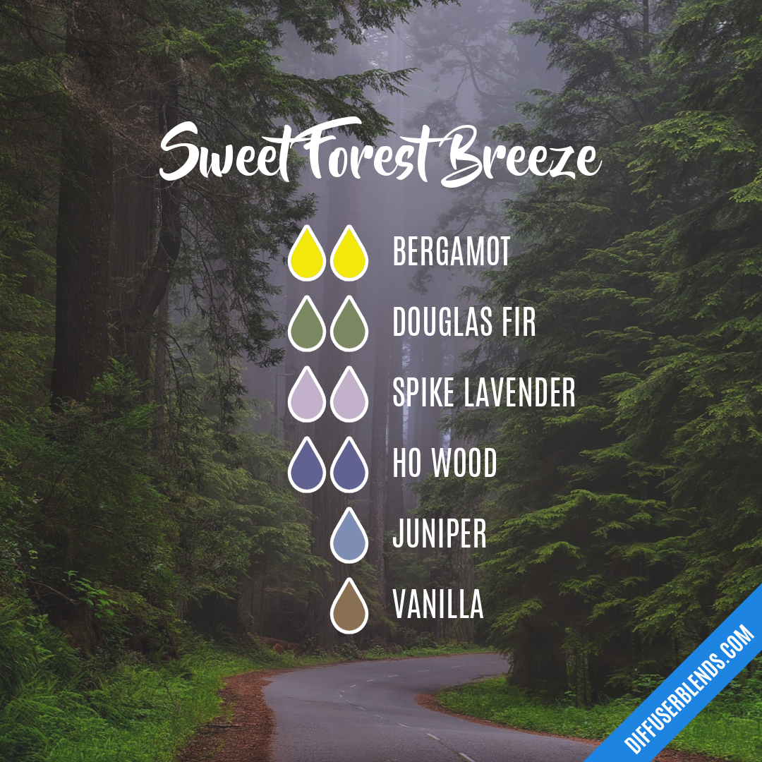 Sweet Forest Breeze | DiffuserBlends.com