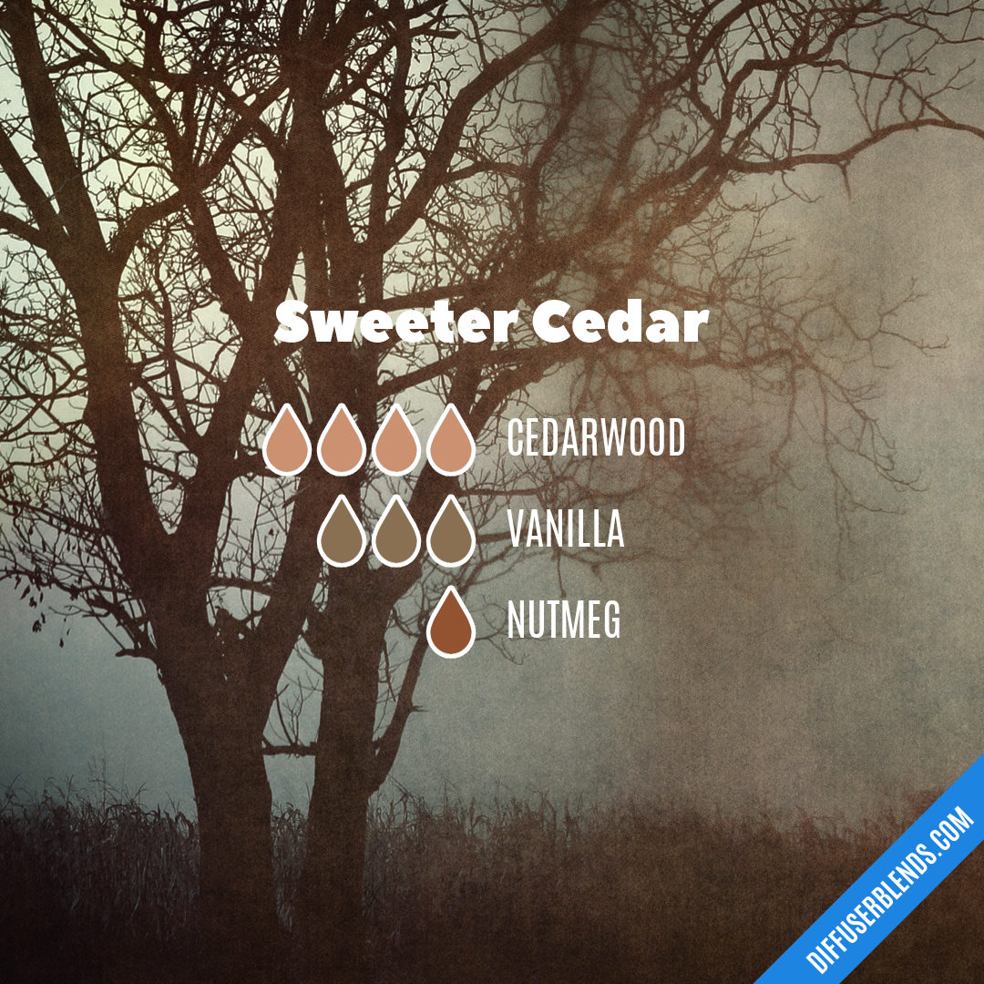 Sweeter Cedar | DiffuserBlends.com