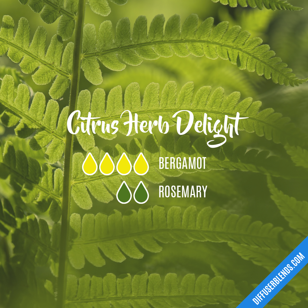 Citrus Herb Delight | DiffuserBlends.com