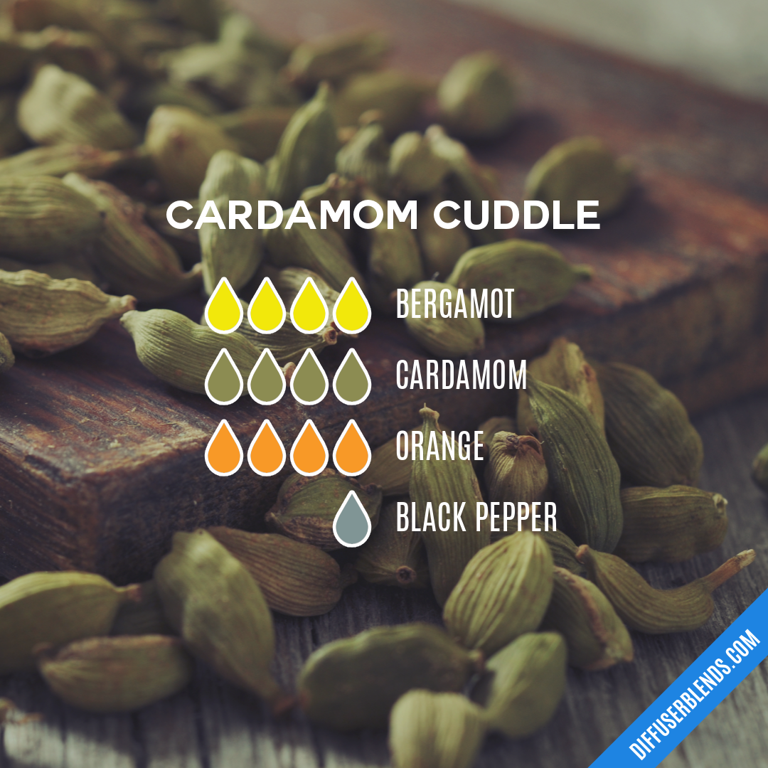 Cardamom Cuddle | DiffuserBlends.com