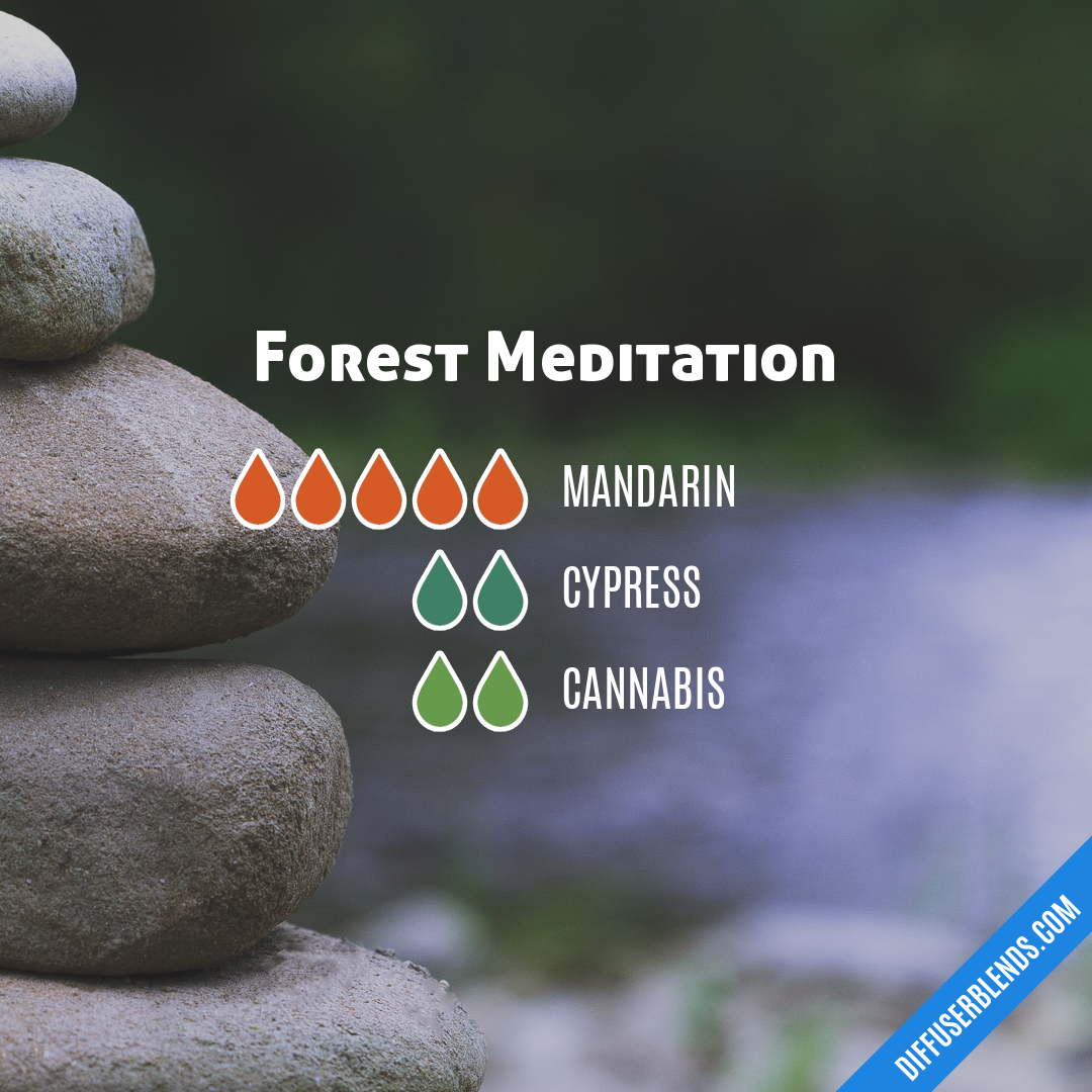 Forest Meditation | DiffuserBlends.com