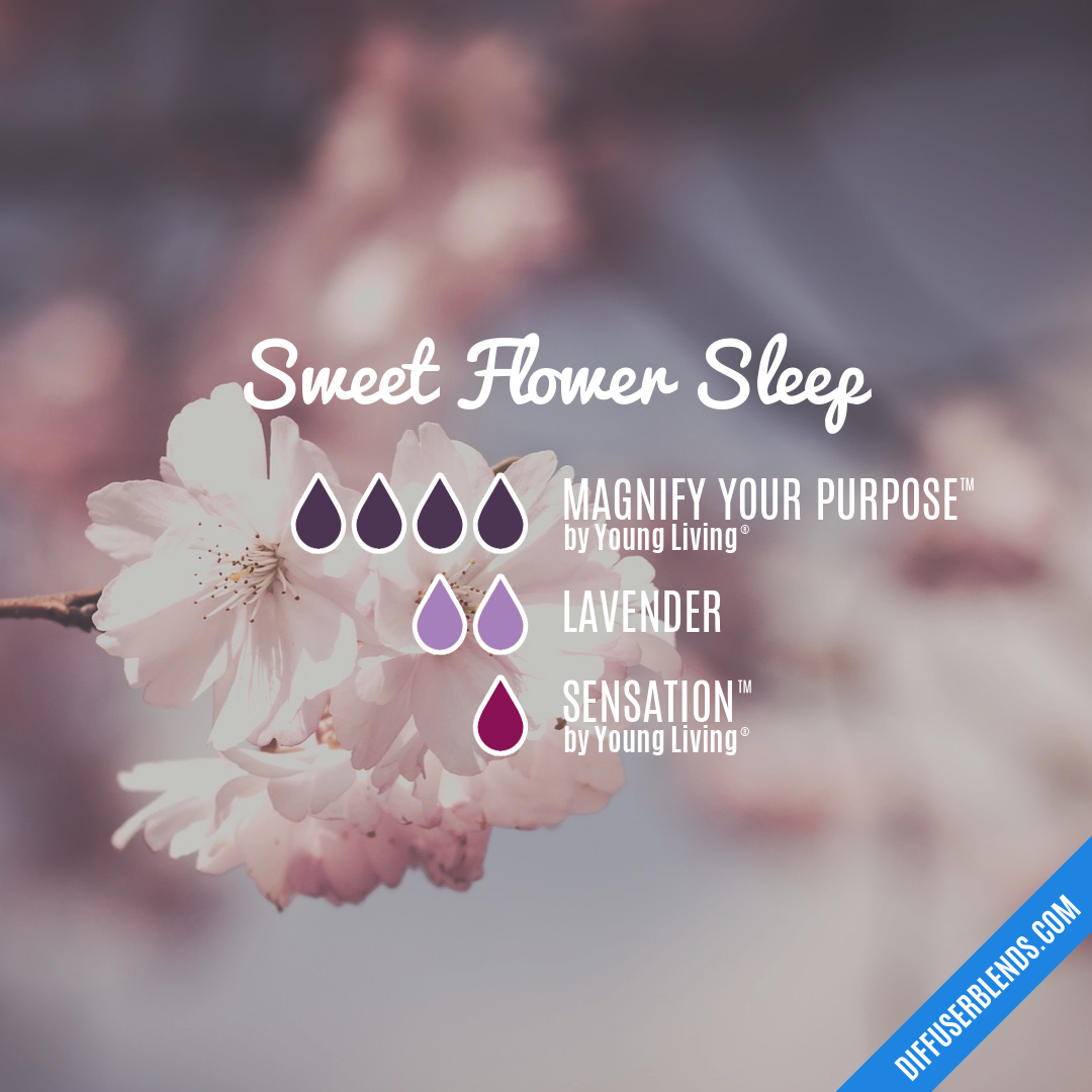 Sweet Flower Sleep | DiffuserBlends.com