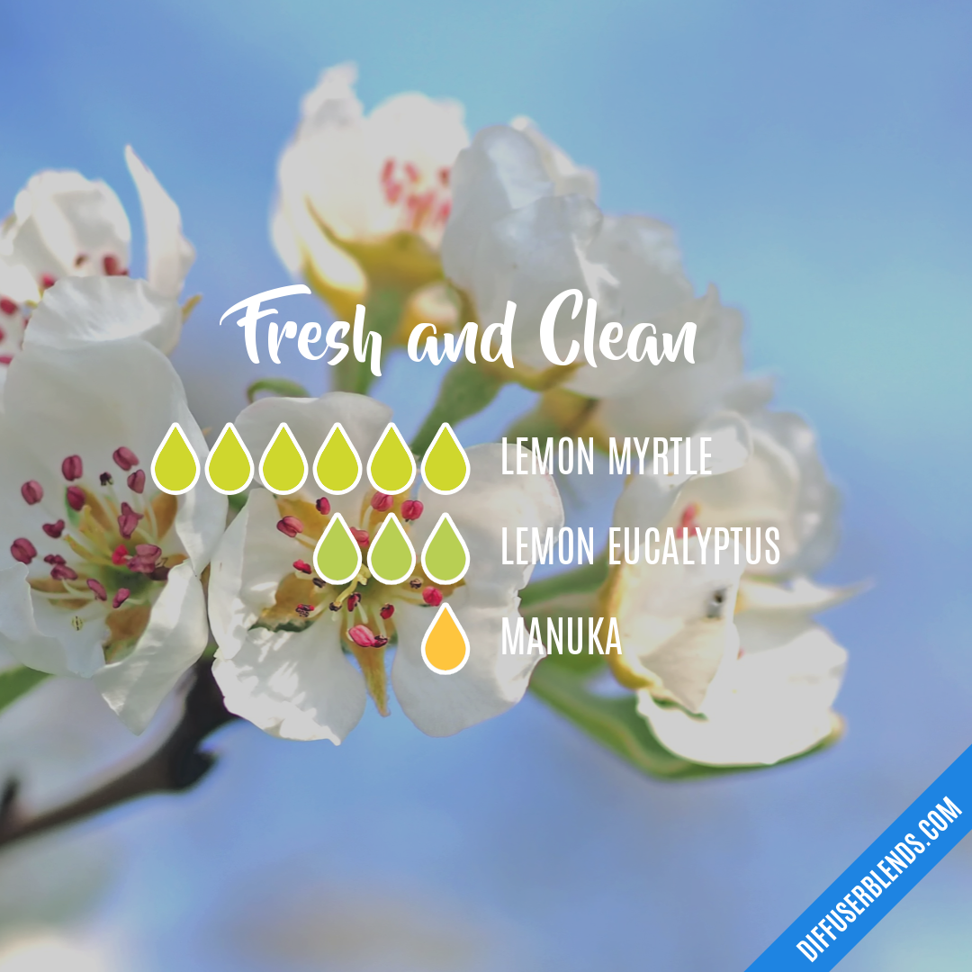 Fresh and Clean | DiffuserBlends.com