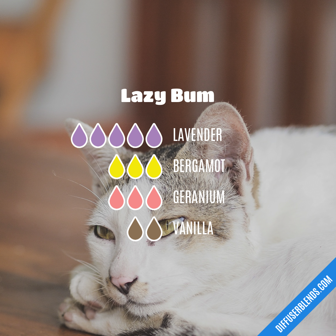 Lazy Bum | DiffuserBlends.com