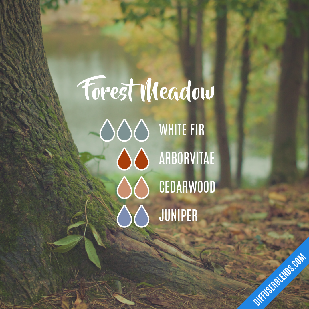 Forest Meadow | DiffuserBlends.com