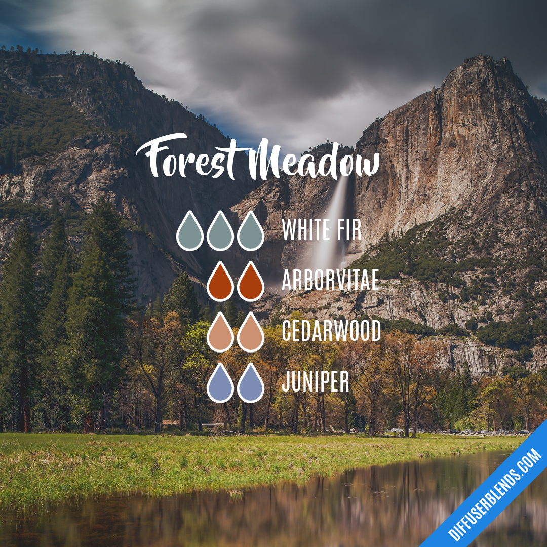 Forest Meadow | DiffuserBlends.com