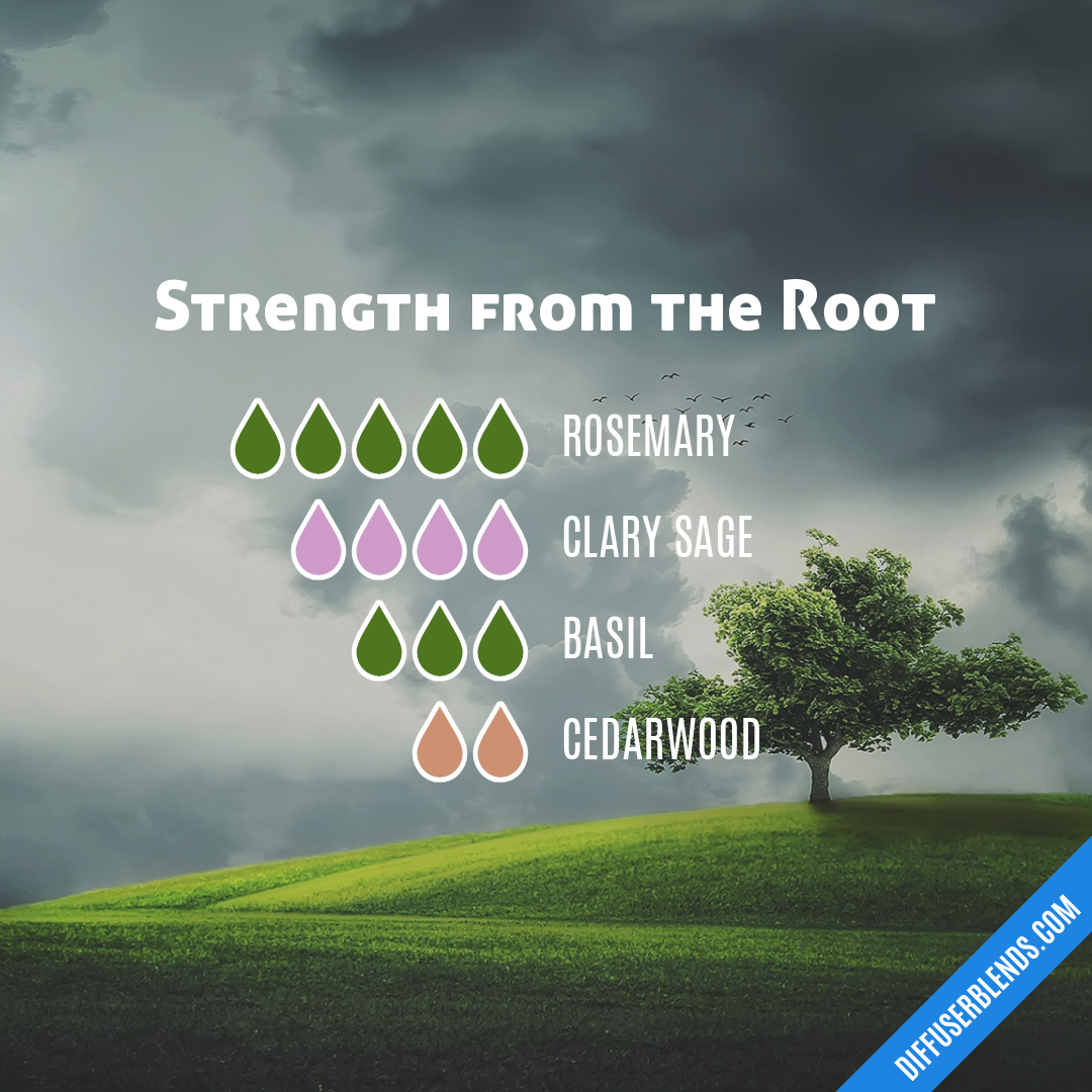 Strength from the Root | DiffuserBlends.com