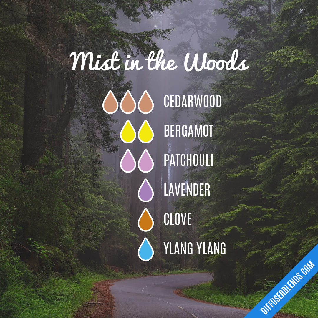 Mist in the Woods | DiffuserBlends.com