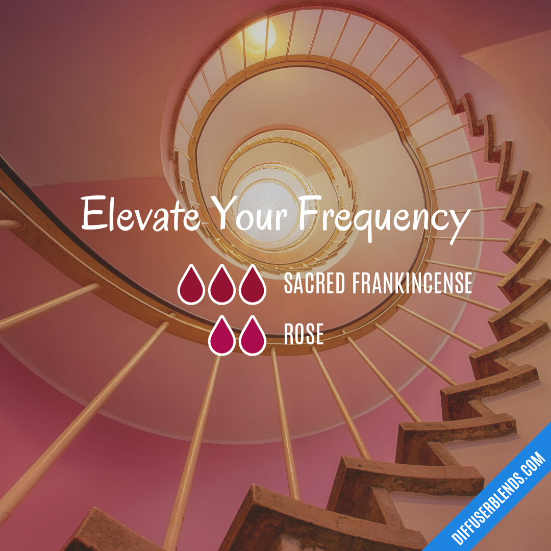 Elevate Your Frequency | DiffuserBlends.com