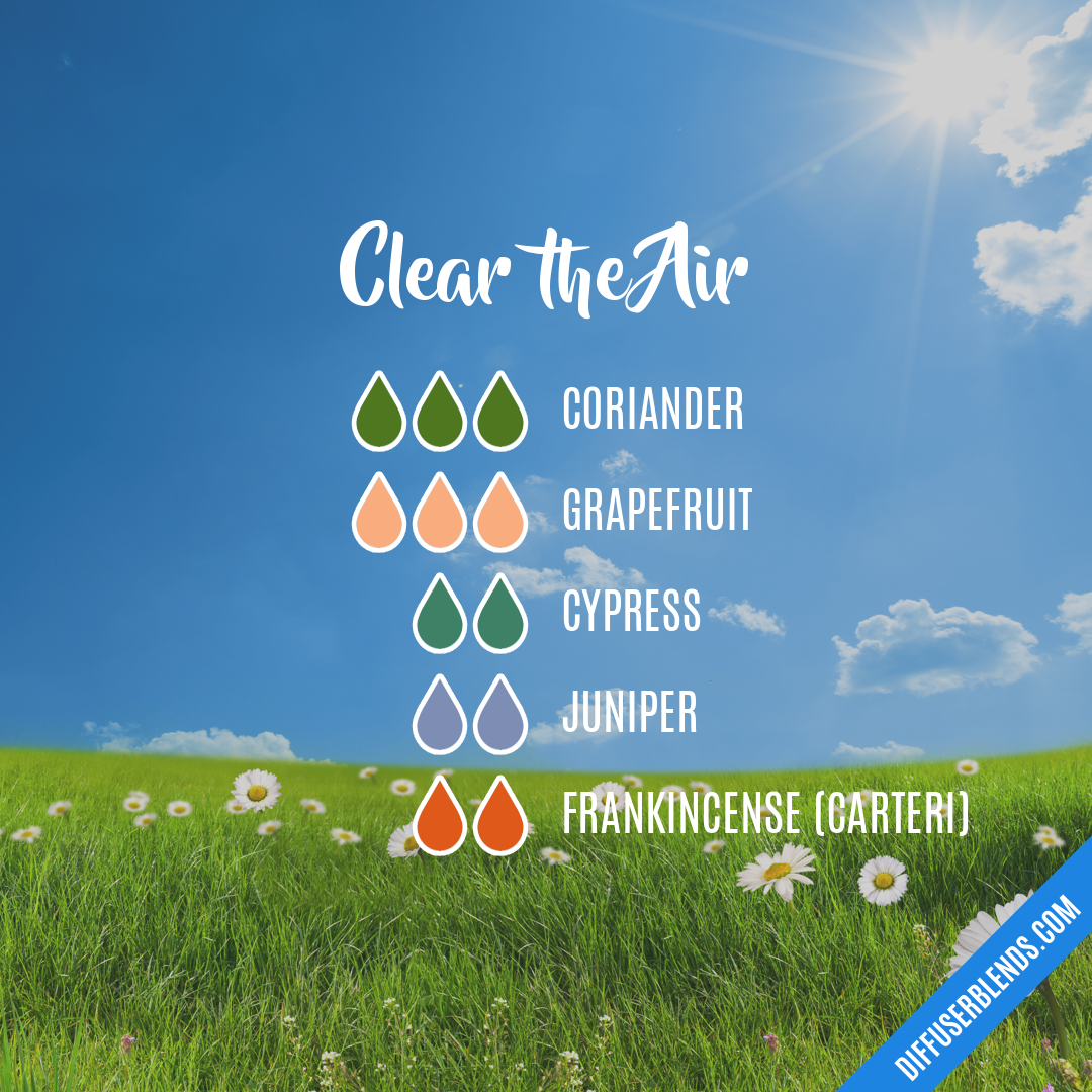 Clear the Air | DiffuserBlends.com