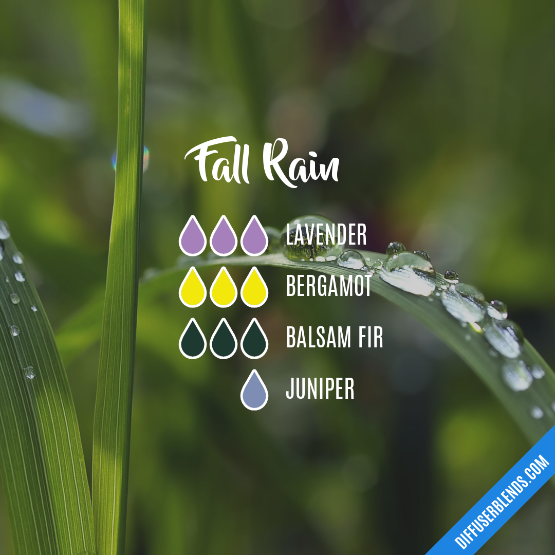 Fall Rain | DiffuserBlends.com