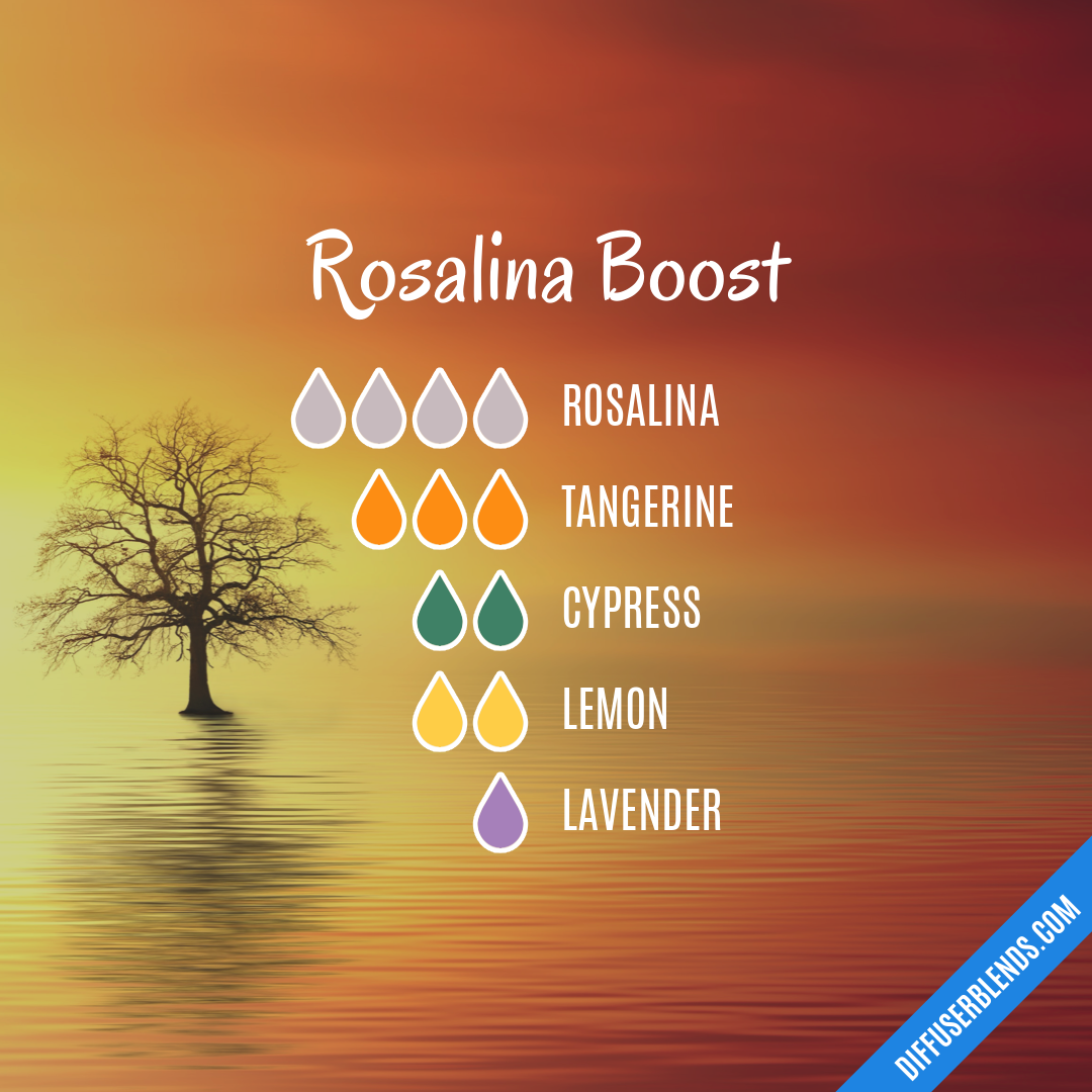 Rosalina Boost | DiffuserBlends.com