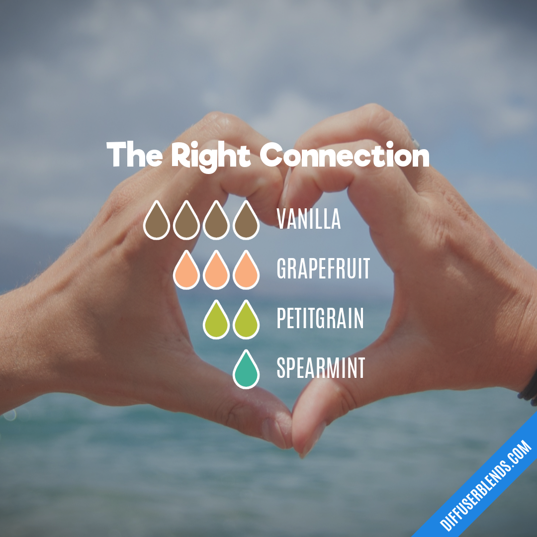 The Right Connection | DiffuserBlends.com