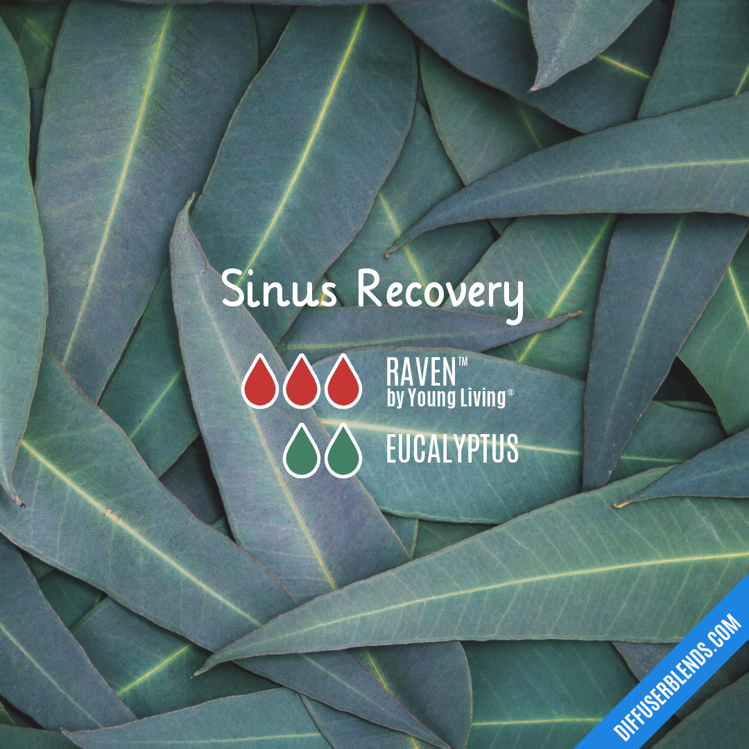 Sinus Recovery | DiffuserBlends.com
