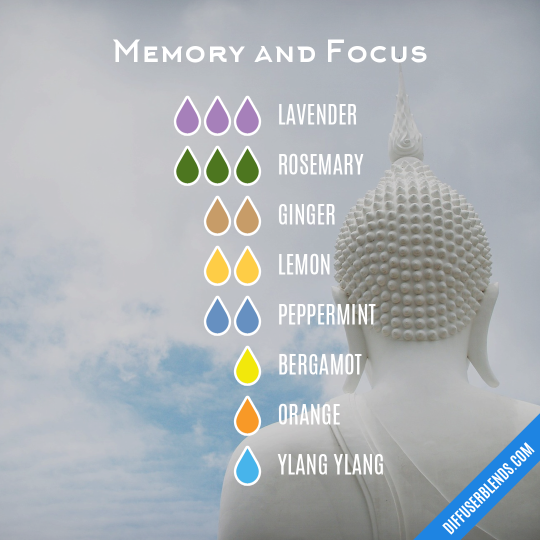 Memory and Focus | DiffuserBlends.com