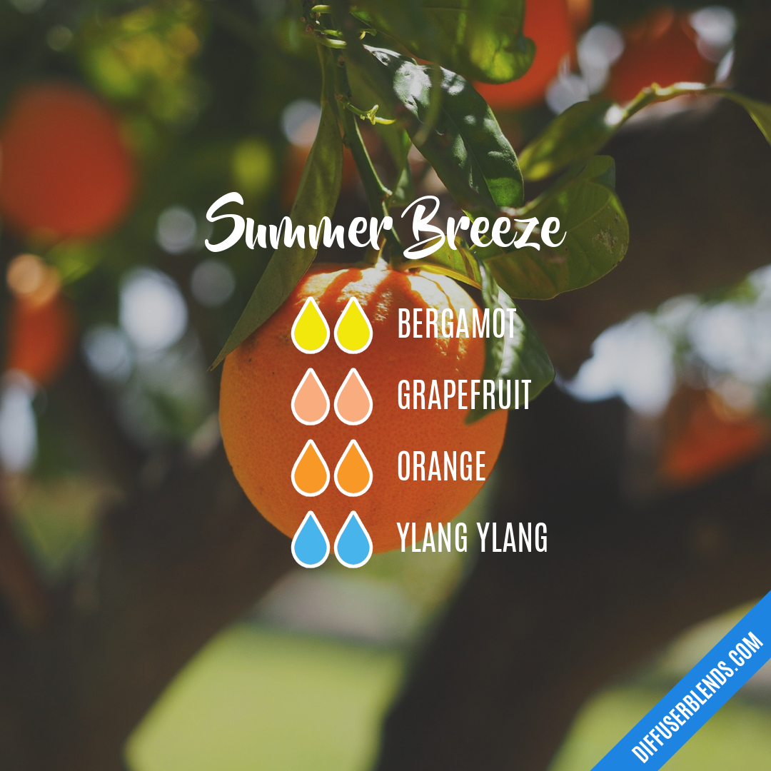 Summer Breeze | DiffuserBlends.com