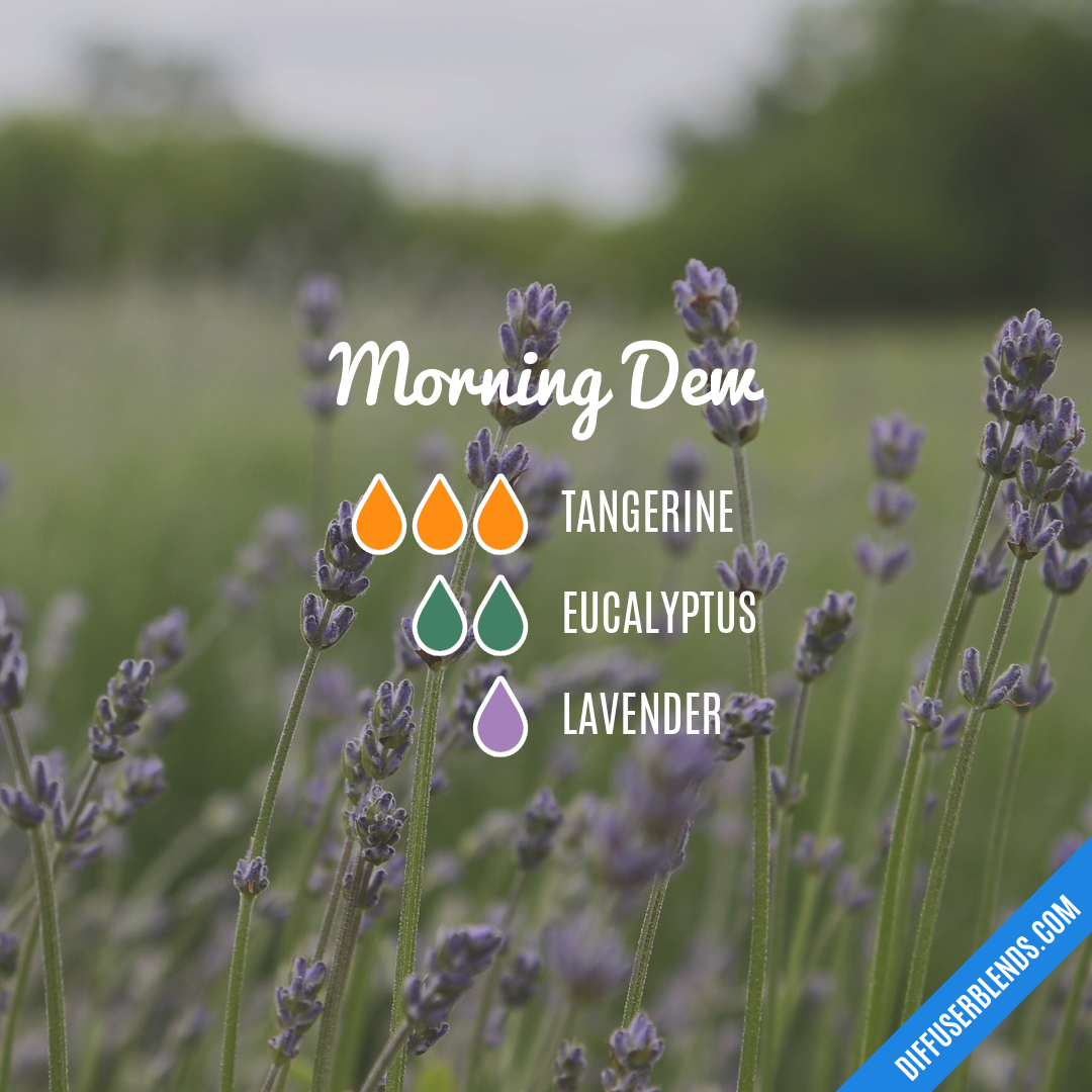 Morning Dew | DiffuserBlends.com