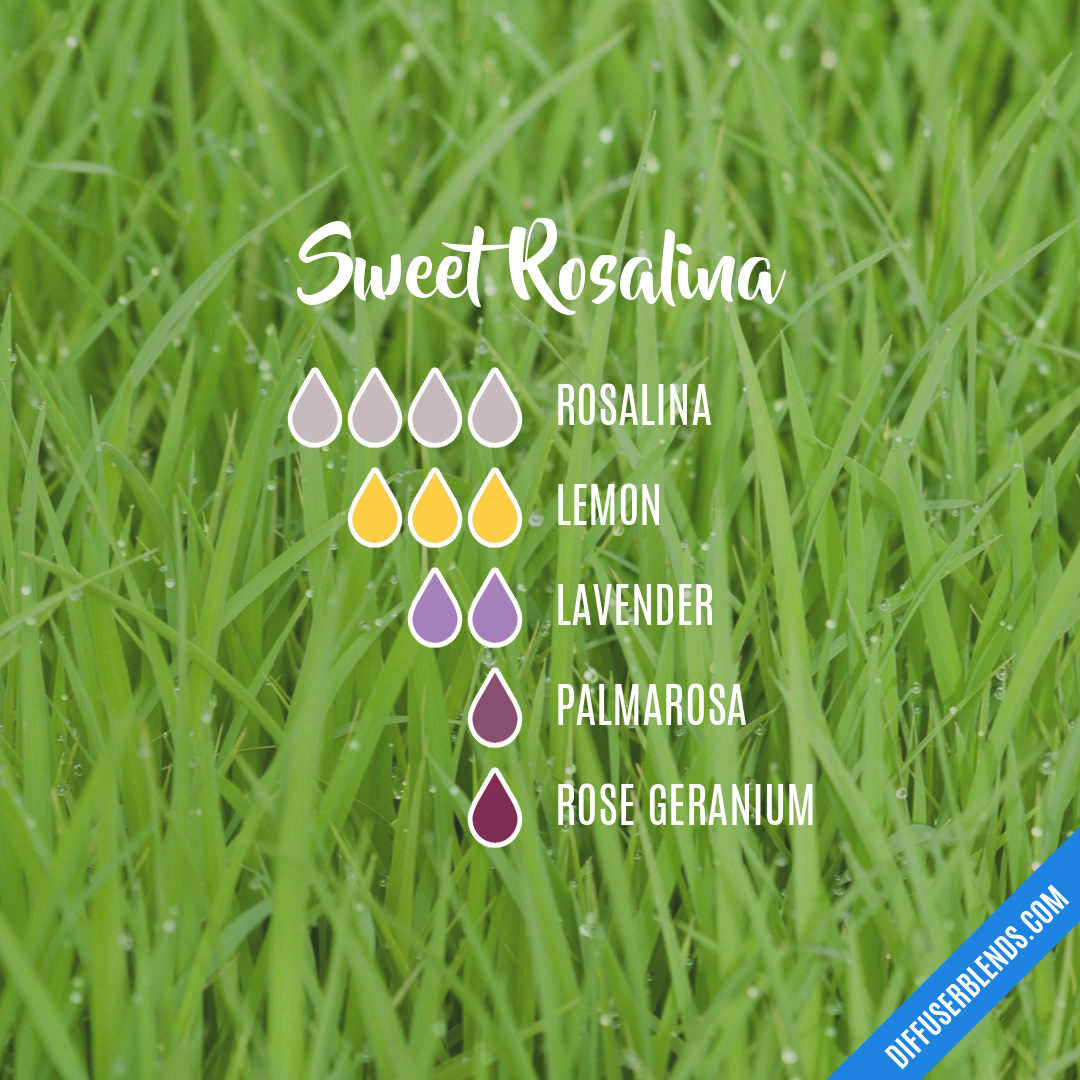 Sweet Rosalina | DiffuserBlends.com