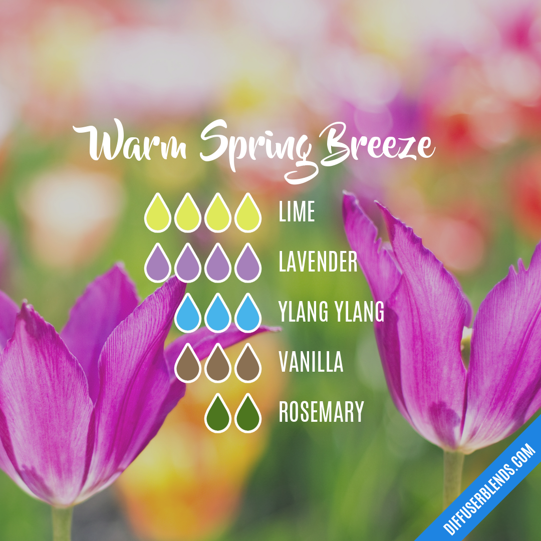 Warm Spring Breeze | DiffuserBlends.com