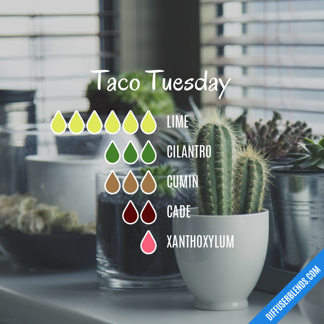 Taco Tuesday | DiffuserBlends.com