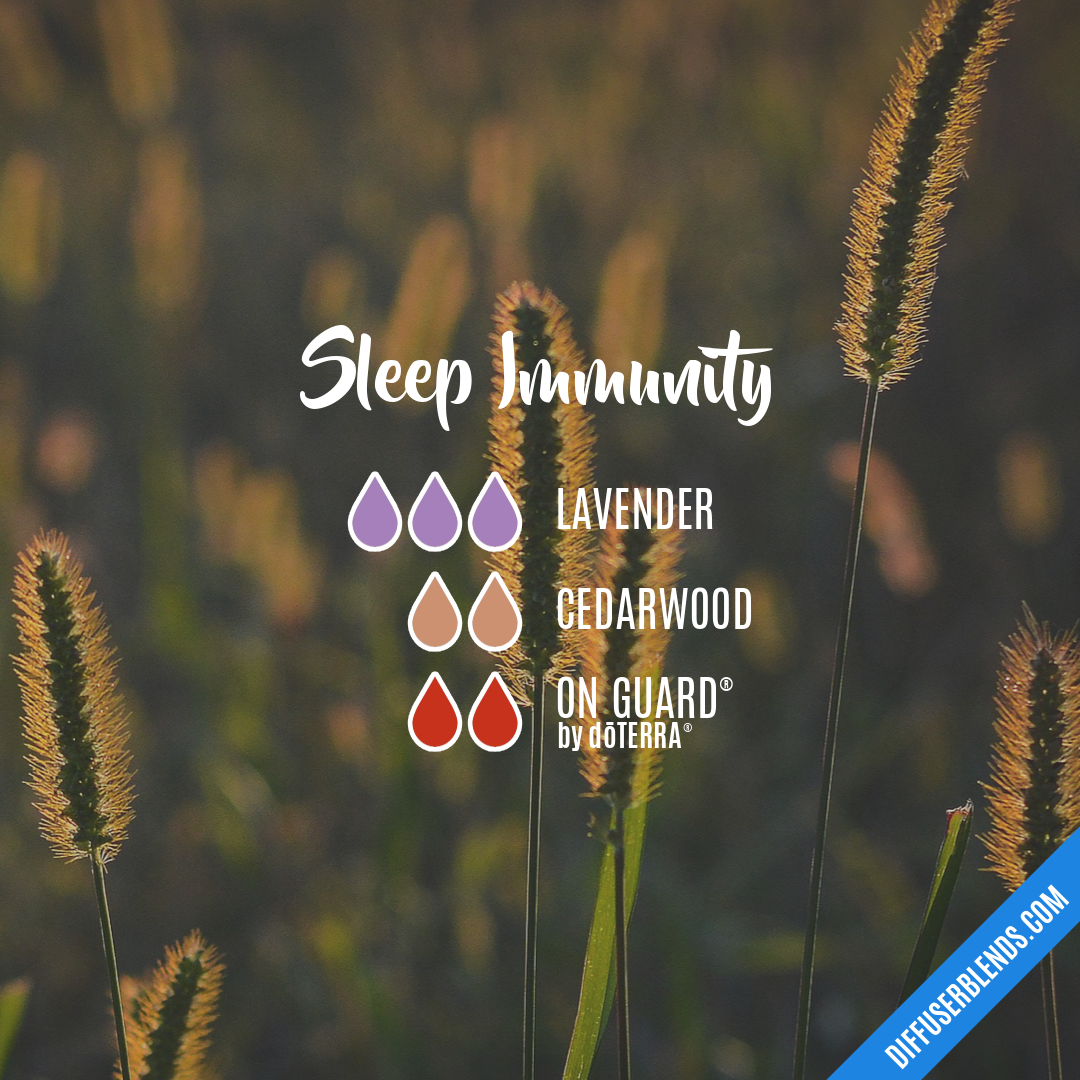 Sleep Immunity | DiffuserBlends.com