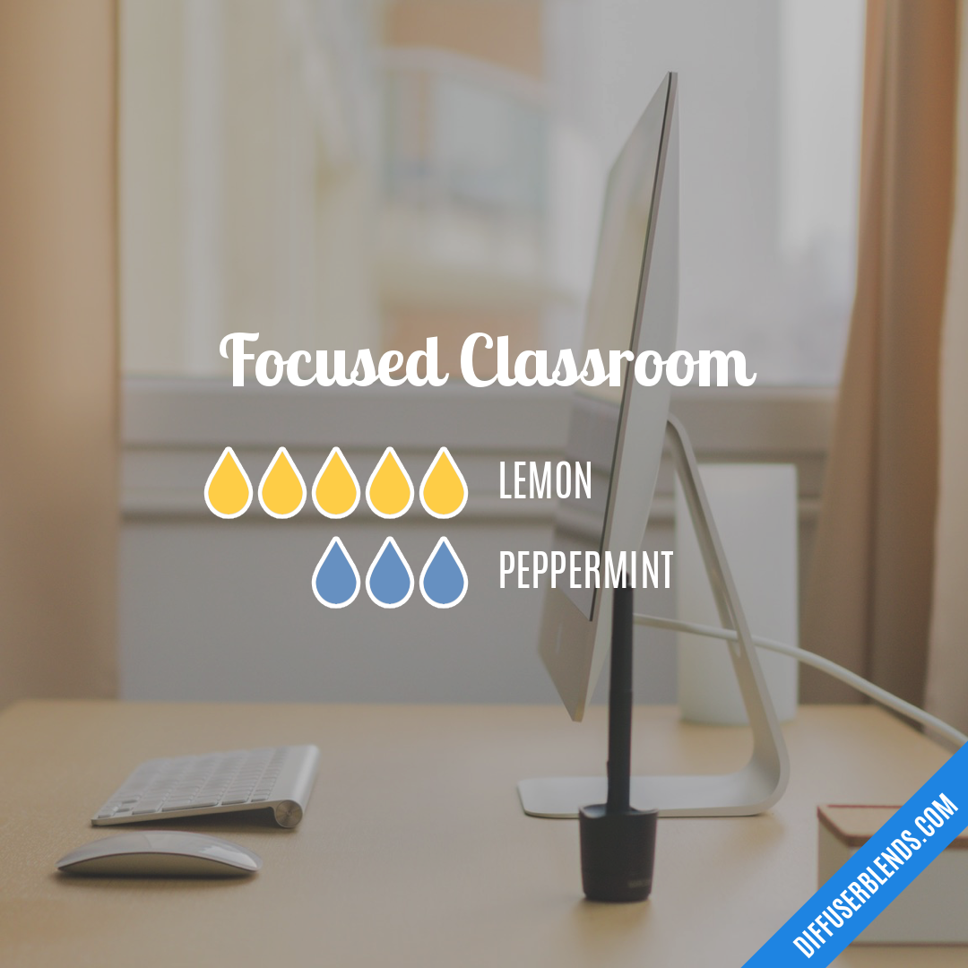 Focused Classroom | DiffuserBlends.com