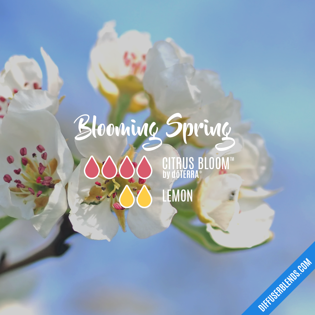 Blooming Spring | DiffuserBlends.com