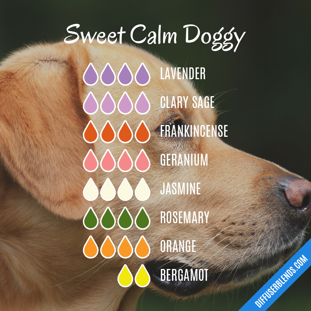Sweet Calm Doggy | DiffuserBlends.com