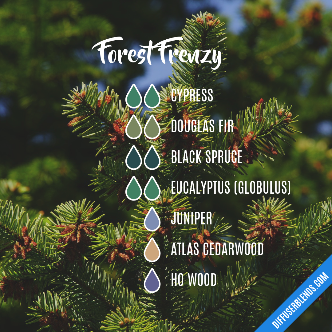 Forest Frenzy | DiffuserBlends.com