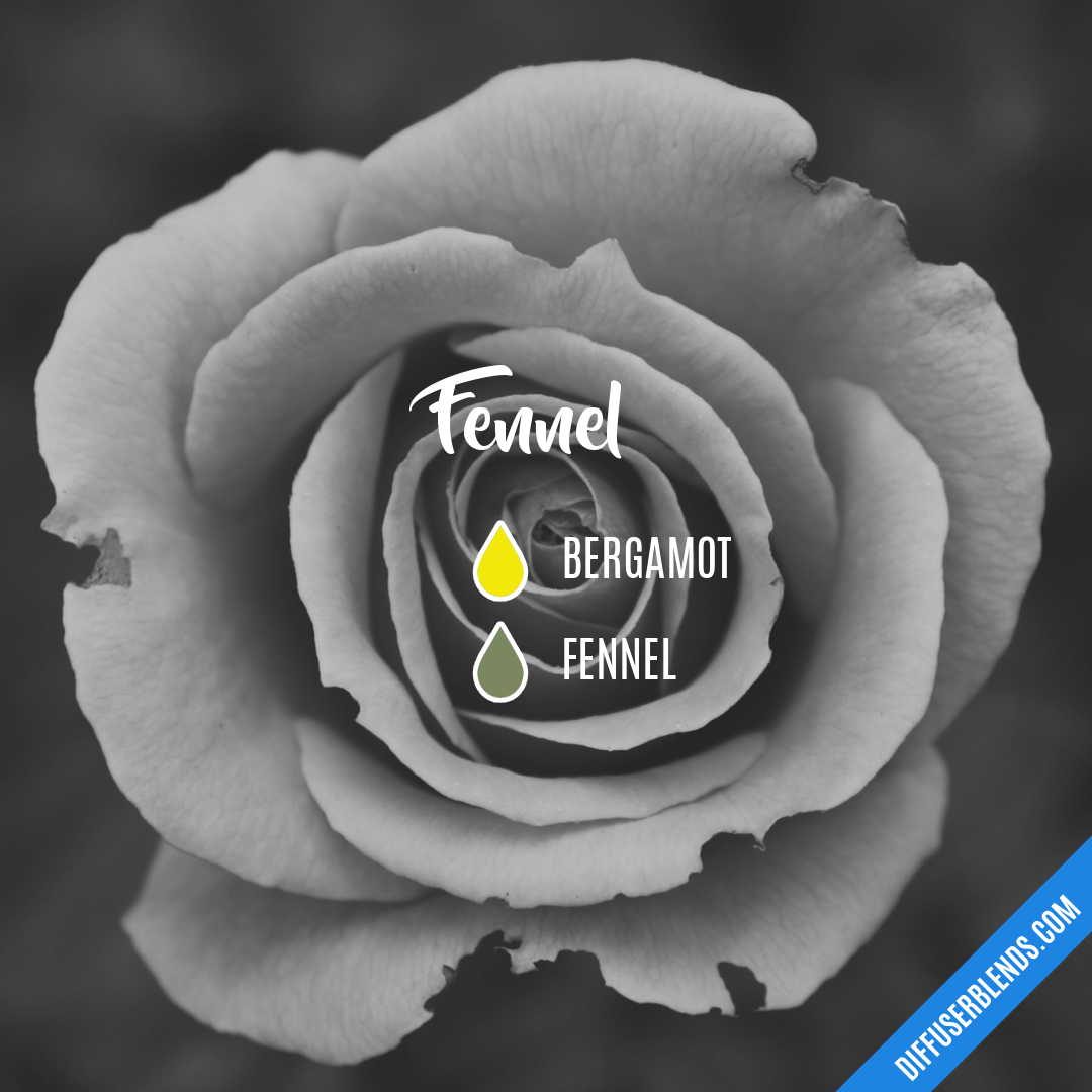 Fennel | DiffuserBlends.com