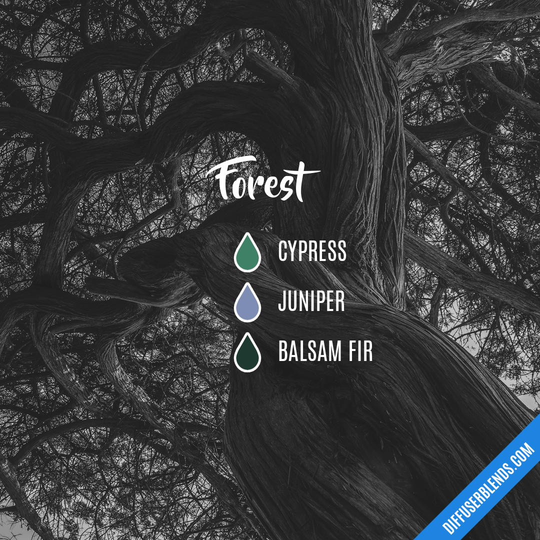 Forest | DiffuserBlends.com
