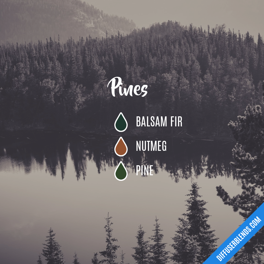 Pines | DiffuserBlends.com