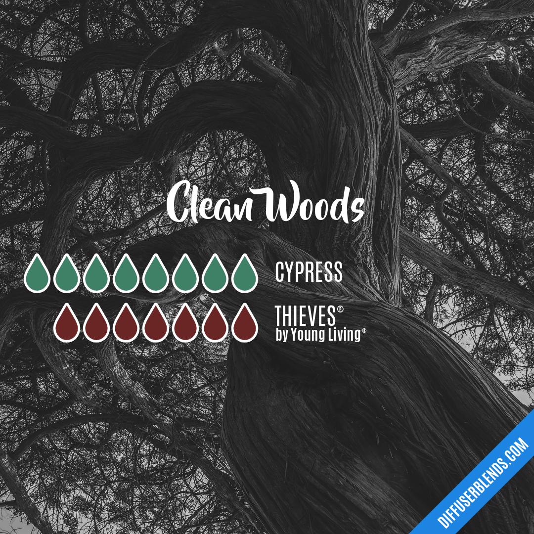 Clean Woods | DiffuserBlends.com