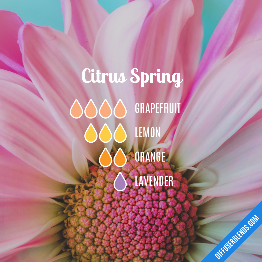 Citrus Spring | DiffuserBlends.com
