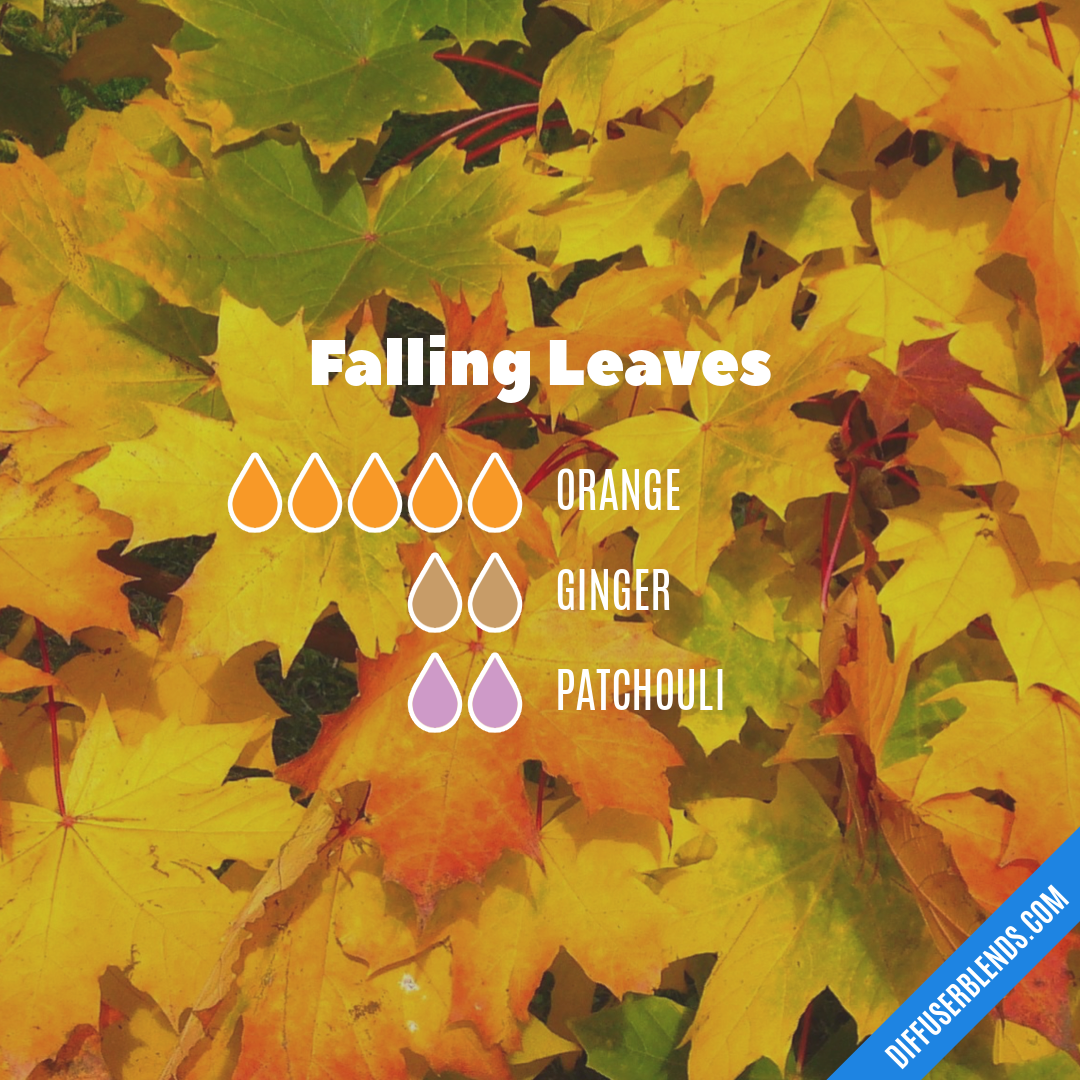 Falling Leaves | DiffuserBlends.com