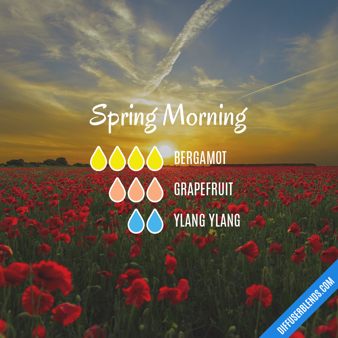 Spring Morning | DiffuserBlends.com