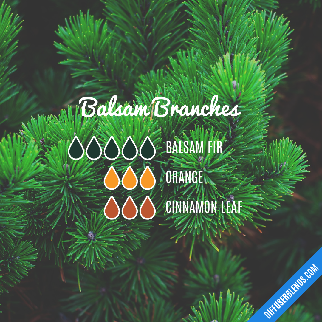 Balsam Branches | DiffuserBlends.com