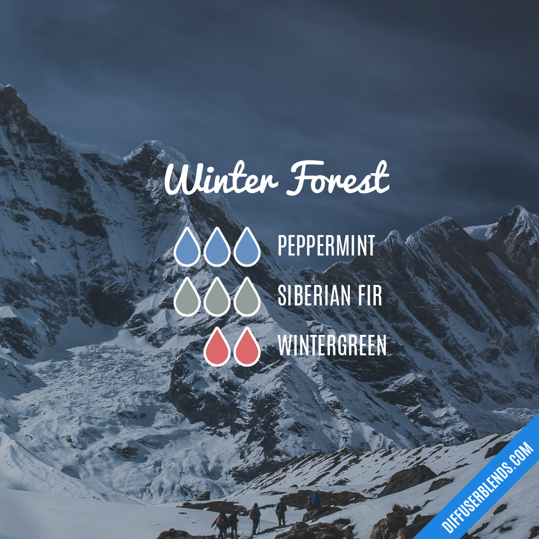 Winter Forest | DiffuserBlends.com