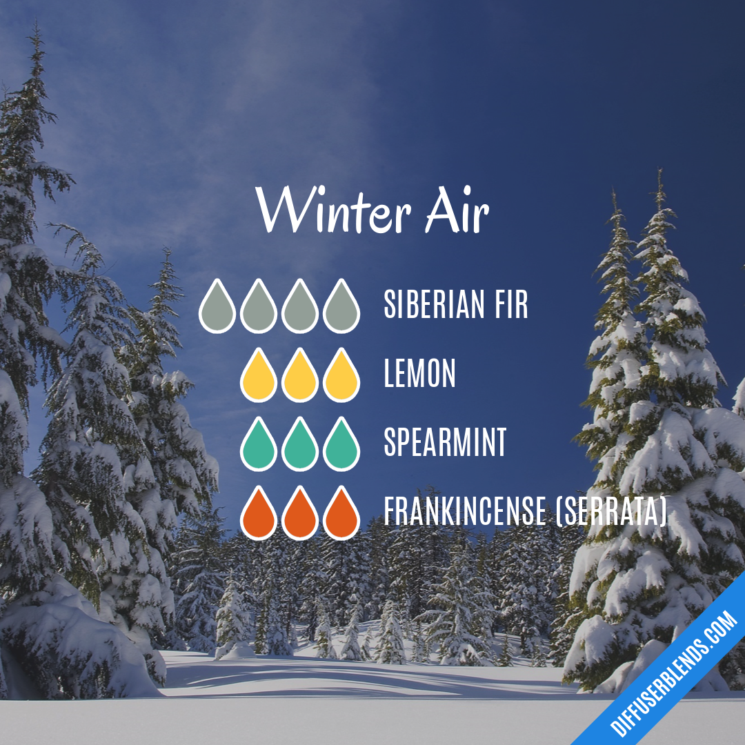 Winter Air | DiffuserBlends.com