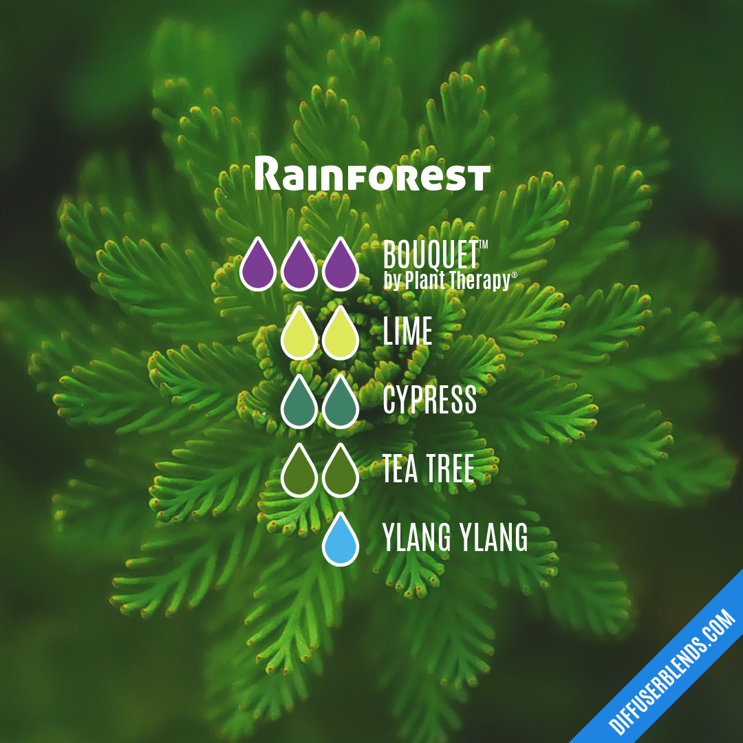 Rainforest | DiffuserBlends.com