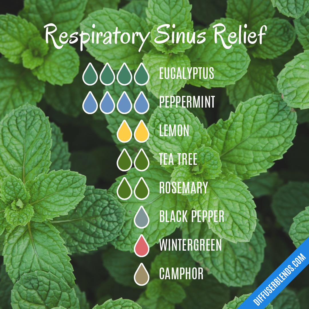Respiratory Sinus Relief | DiffuserBlends.com