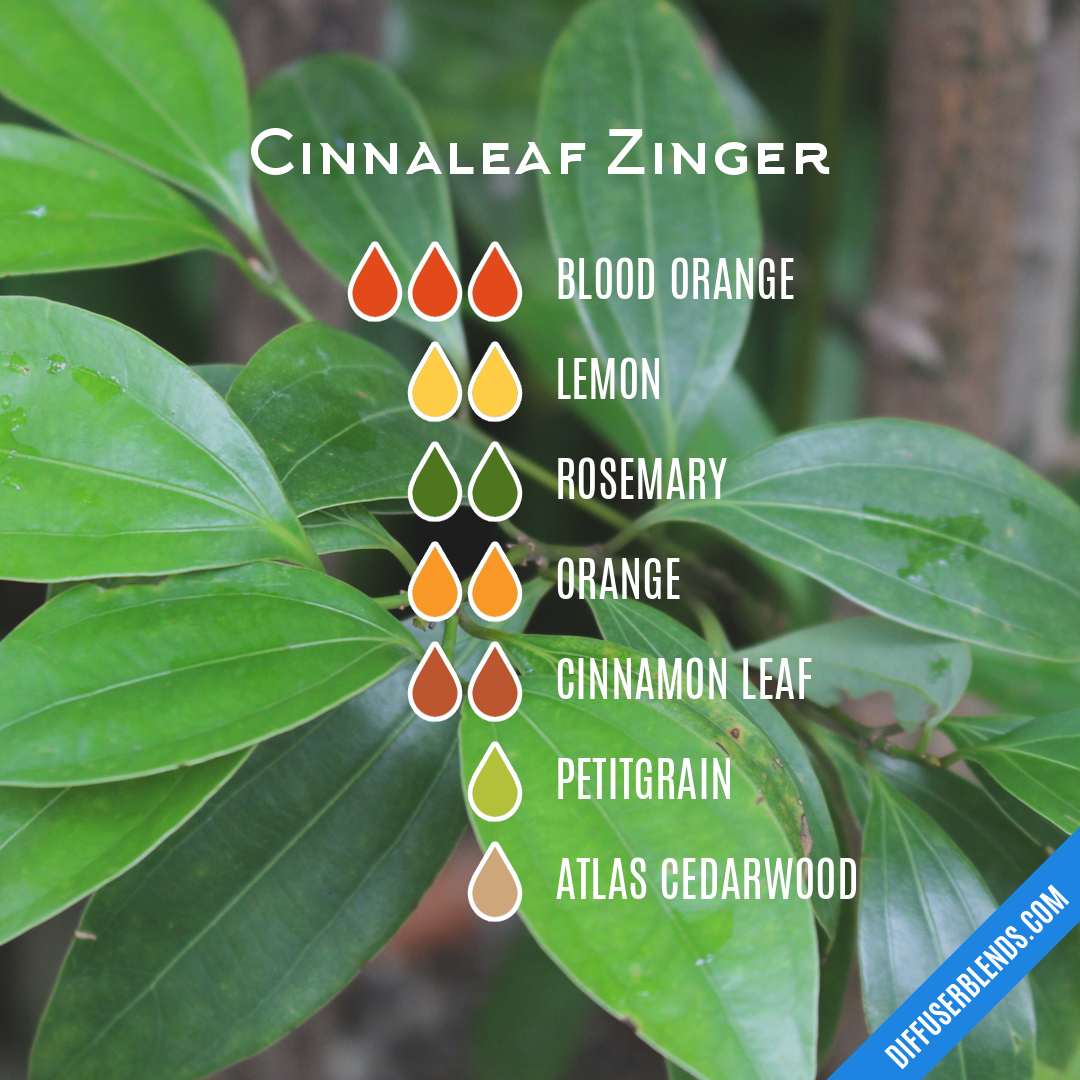 Cinnaleaf Zinger | DiffuserBlends.com