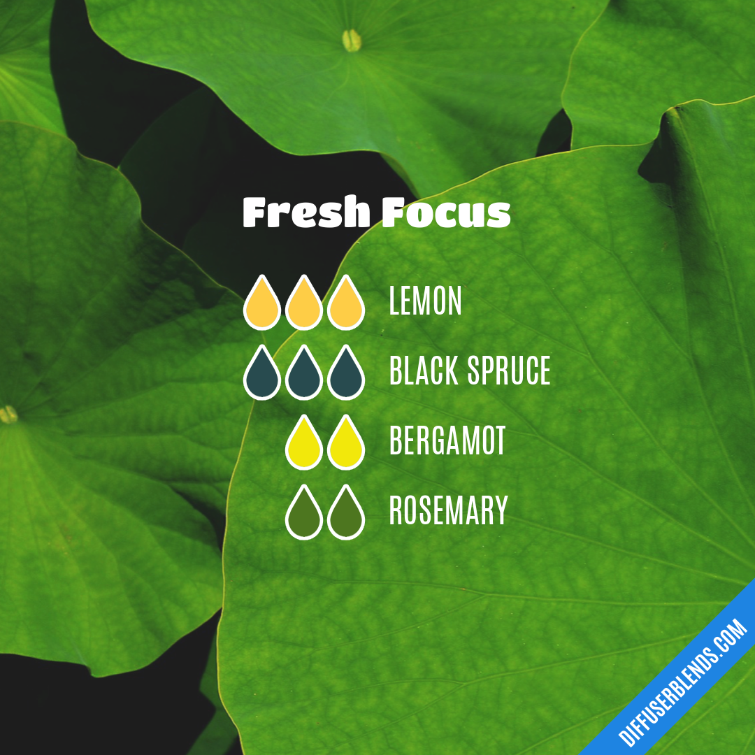 Fresh Focus | DiffuserBlends.com
