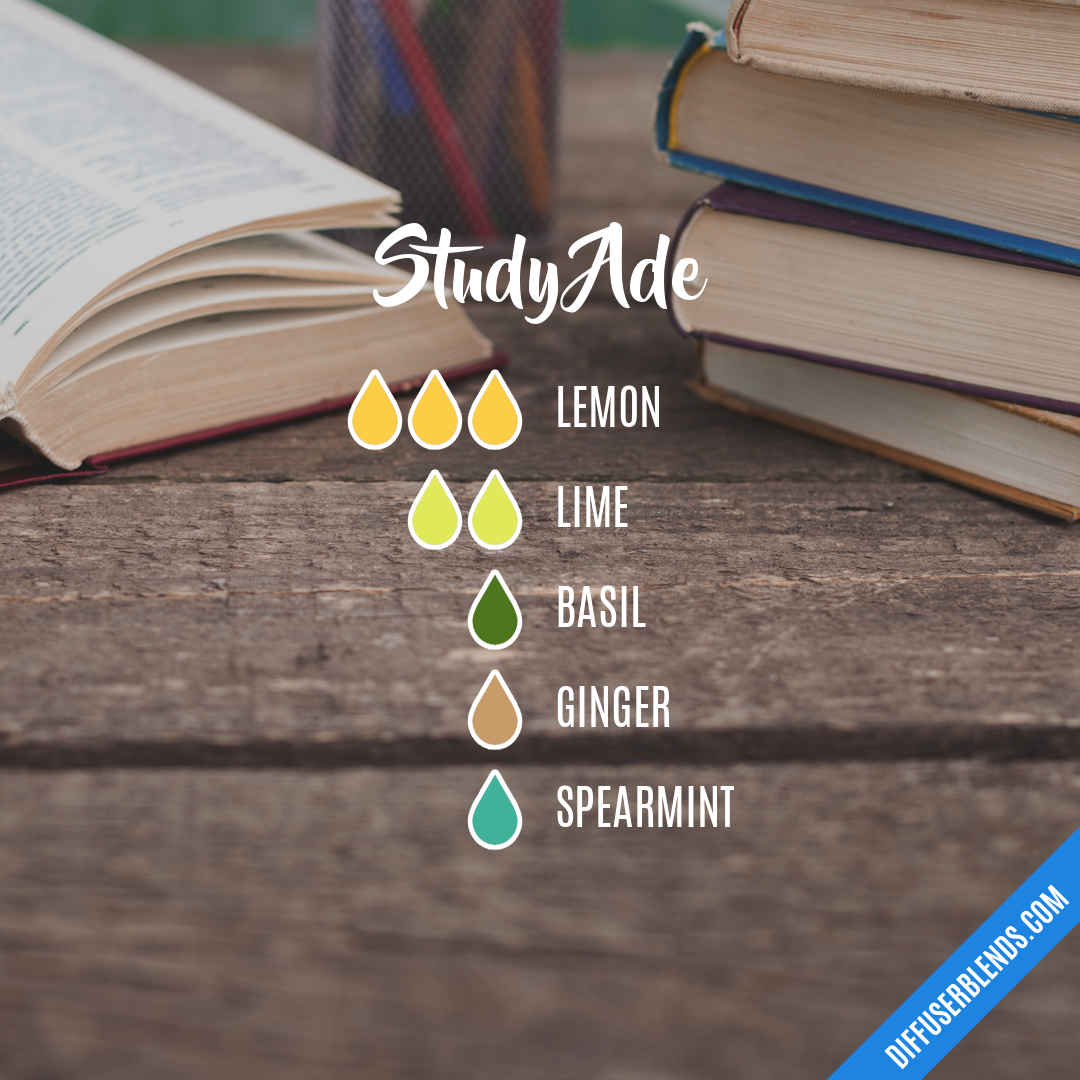 Study Ade | DiffuserBlends.com