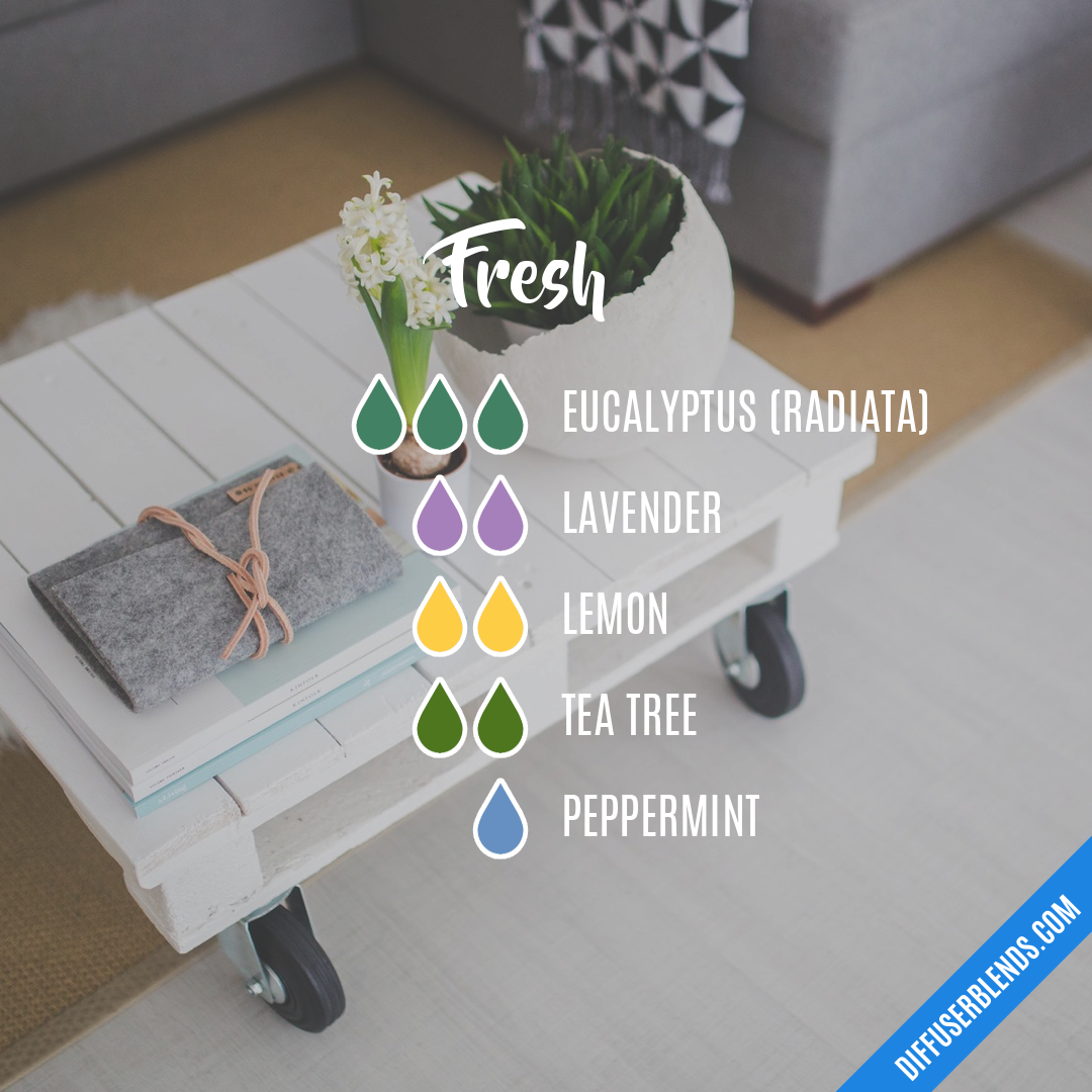 Fresh | DiffuserBlends.com