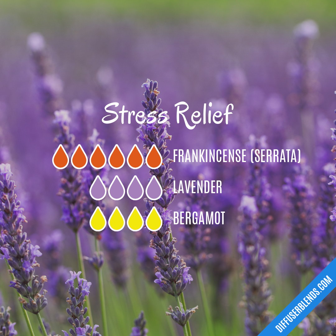 Stress Relief | DiffuserBlends.com